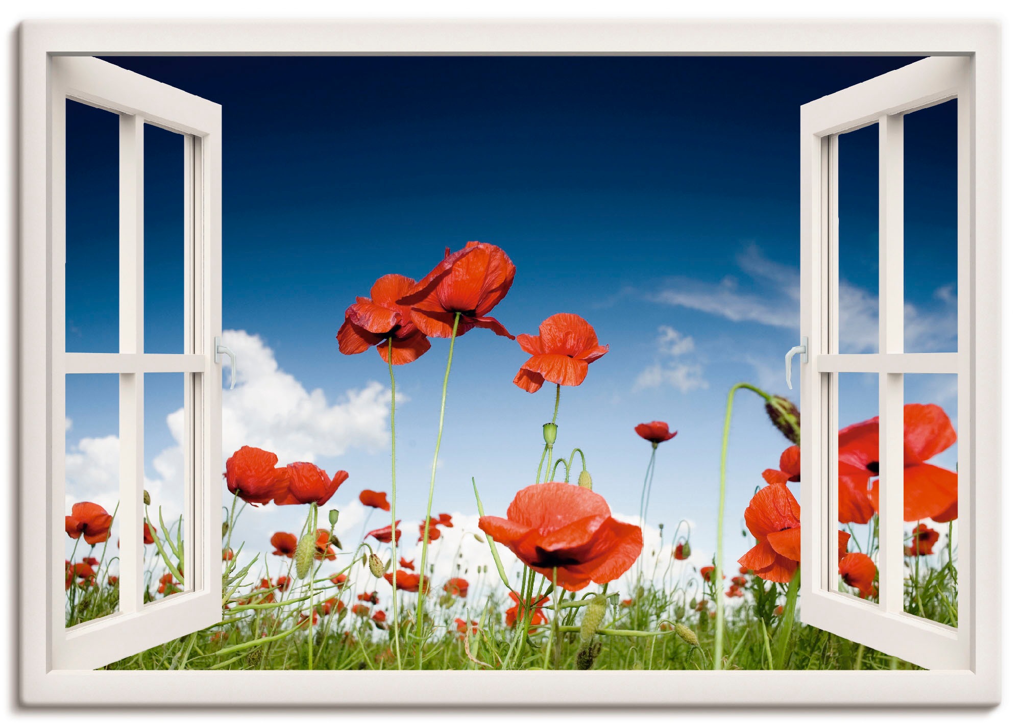 Artland Wandbild »Fensterblick Feld mit Mohnblumen«, Fensterblick, (1 St.), als Leinwandbild ...