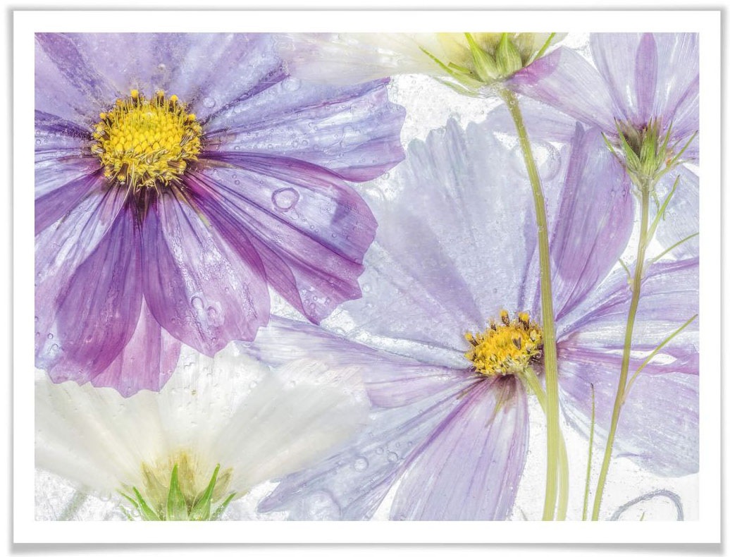 Wall-Art Poster »Florale Lila Blau Blumen Kunst«, Blumen, (1 St ...