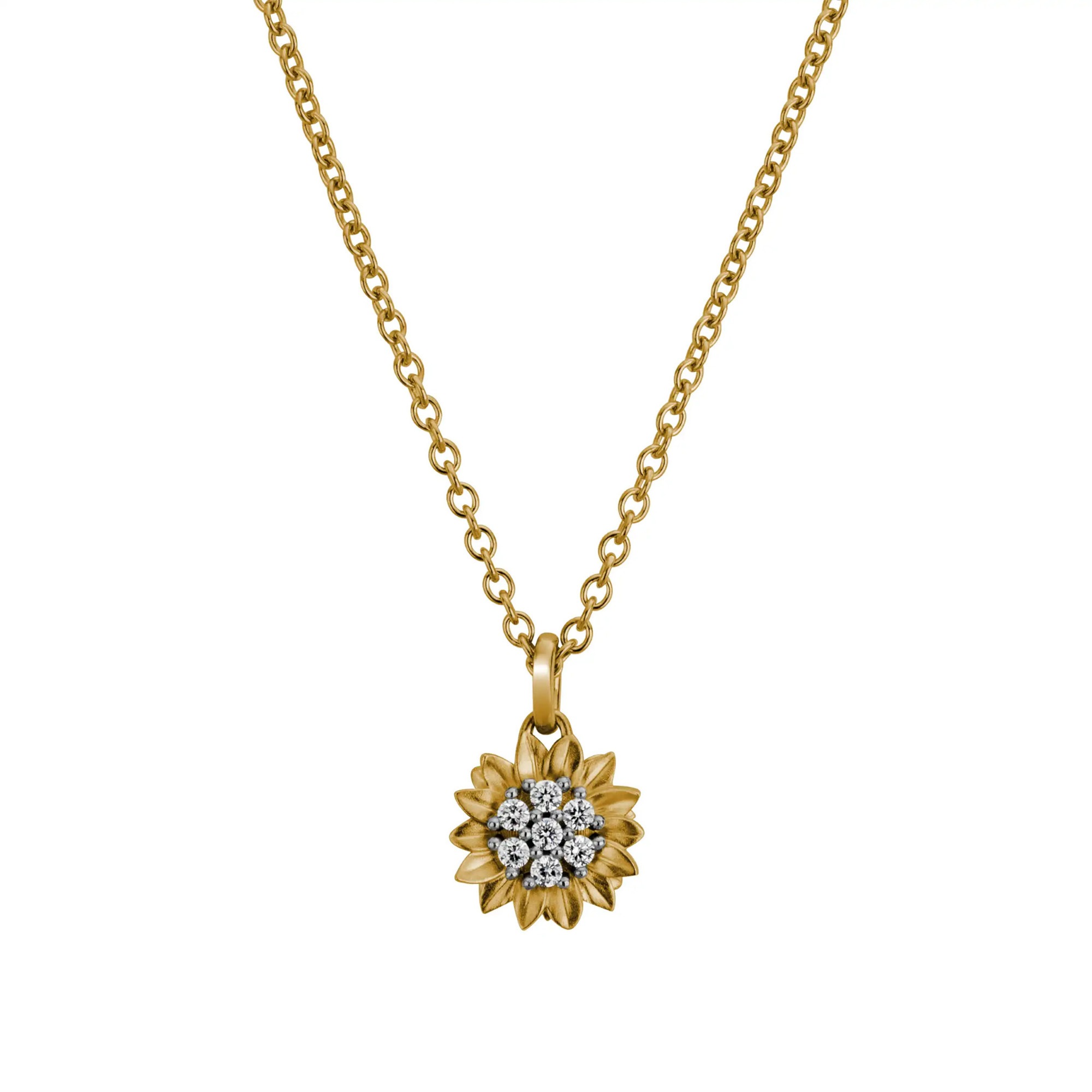 BAUR Online Shop Mode | Wohnen | Technik & mehr