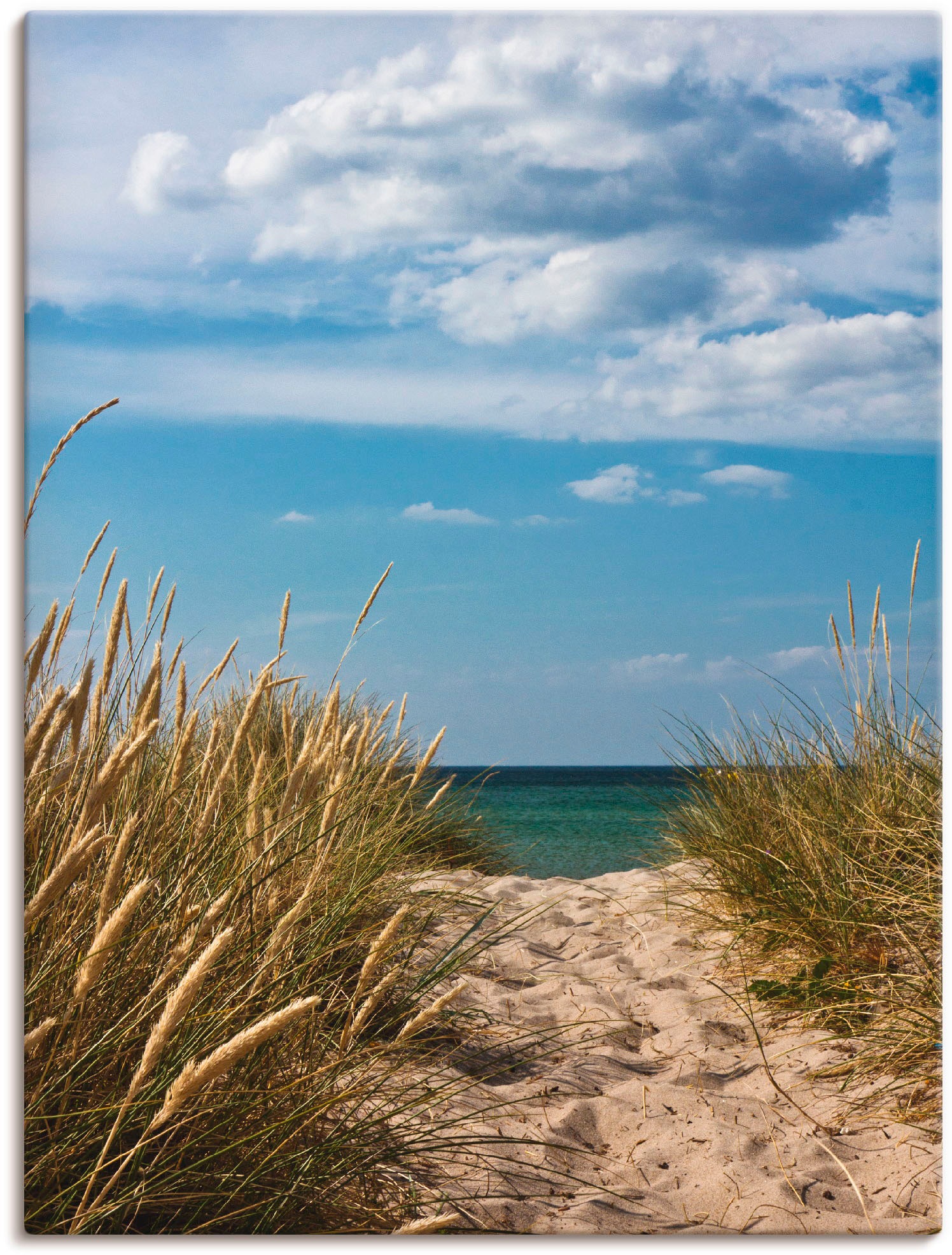 Artland Wandbild »Strandzugang an der Ostsee - Dänemark 9«, Strand, (1 St.), als Alubild ...