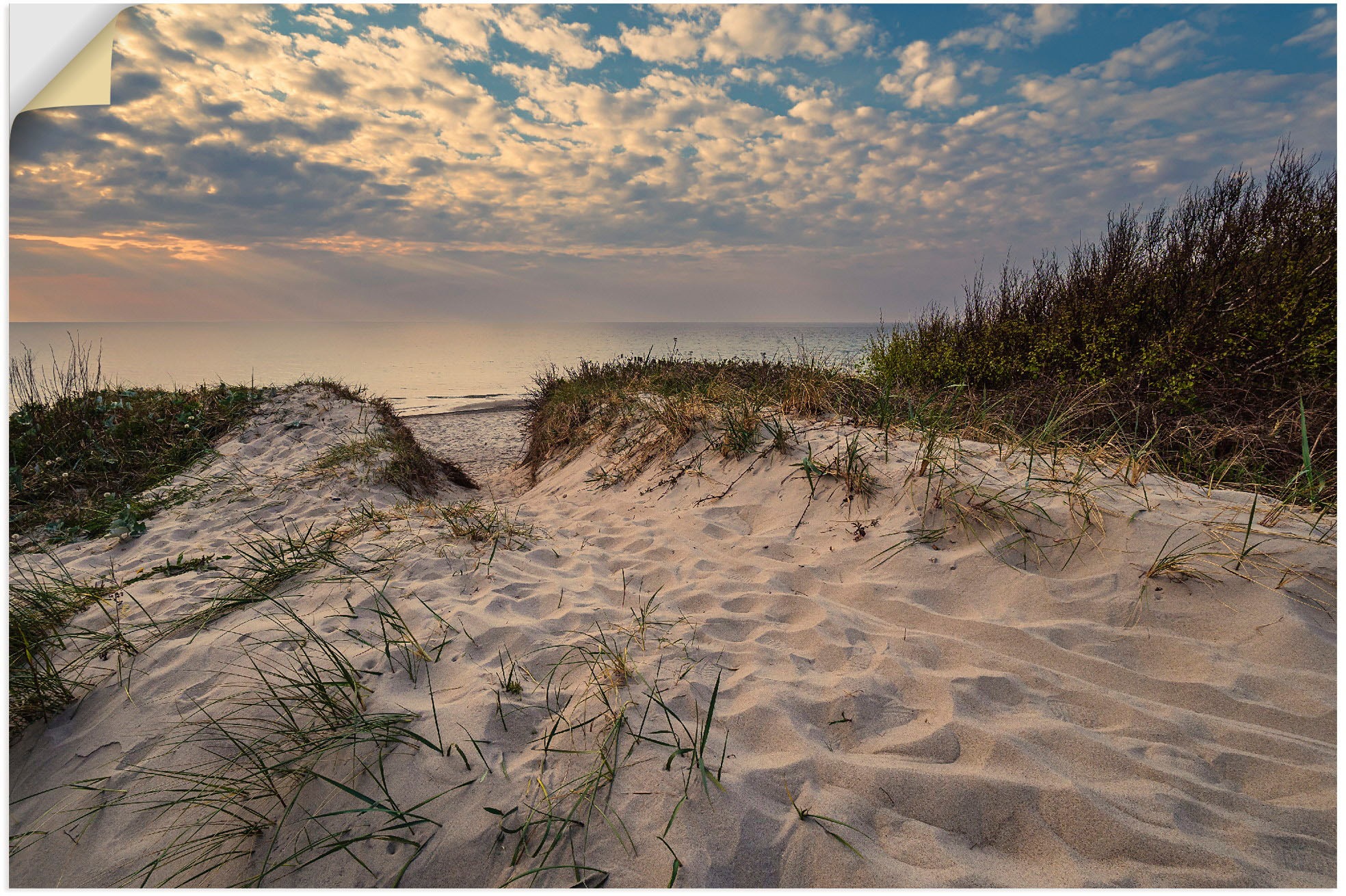 Artland Wandbild »Strand an Küste der Ostsee Graal Müritz«, Küstenbilder, (1 St.), als Alubild ...