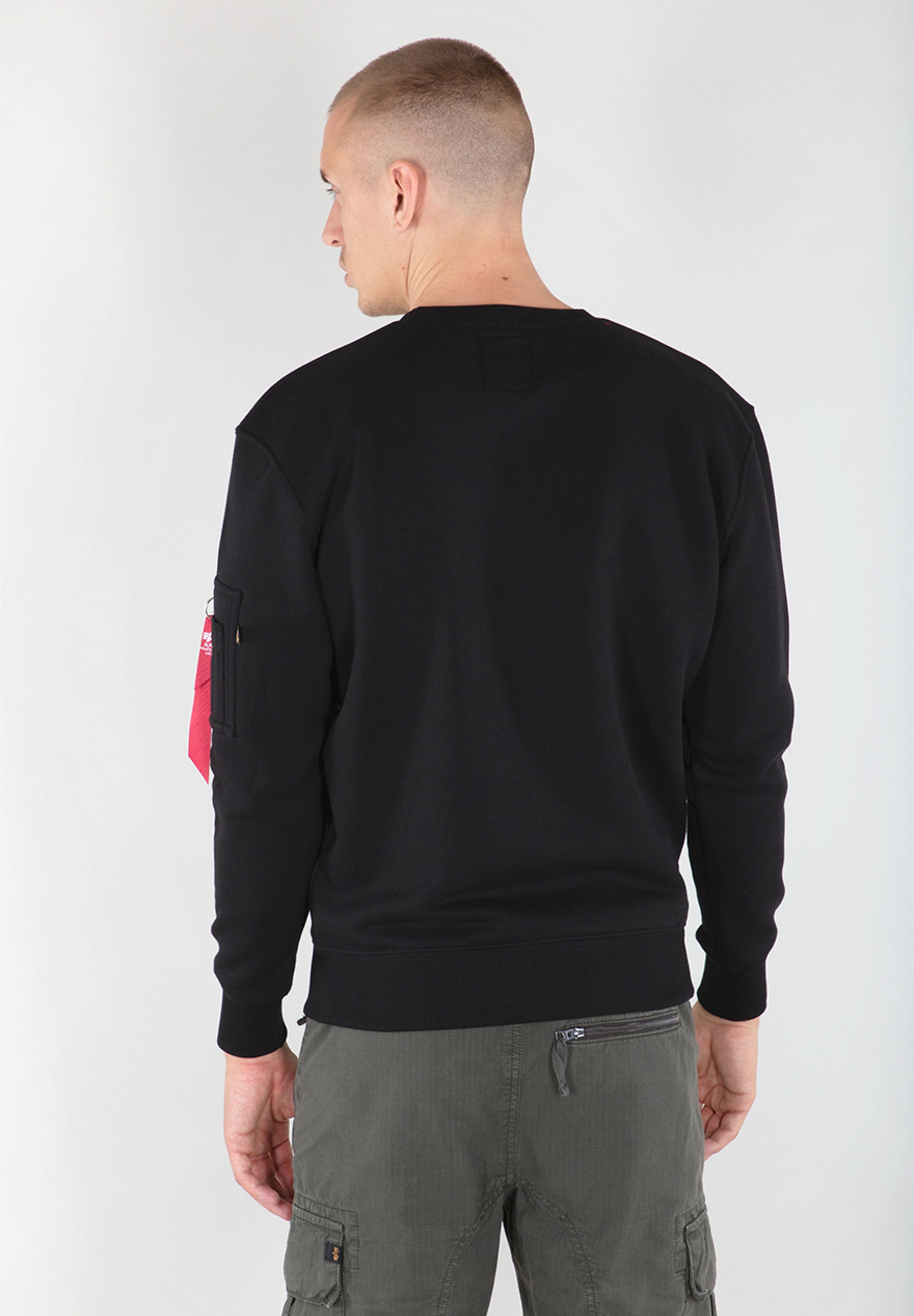 Alpha Industries Sweater »ALPHA INDUSTRIES Men - Sweatshirts Block Logo ...