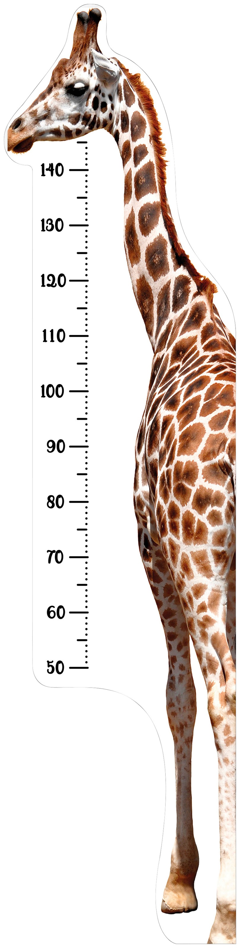 MySpotti Wandsticker »Mess mich Gisela«, (1 St.), zum Messen der ...