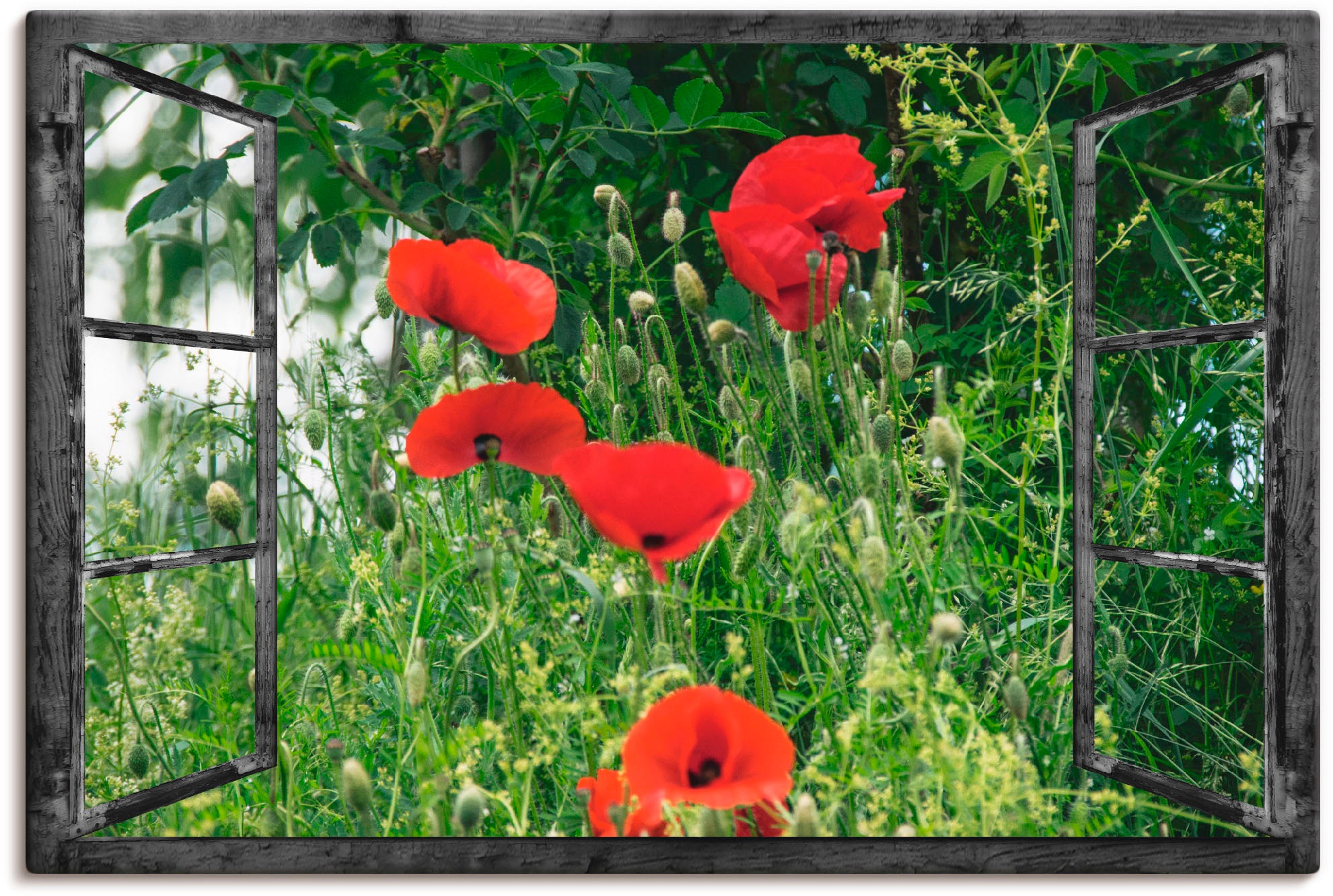 Artland Wandbild »Fensterblick - Klatschmohn«, Fensterblick, (1 St.), als Alubild, Outdoorbild ...