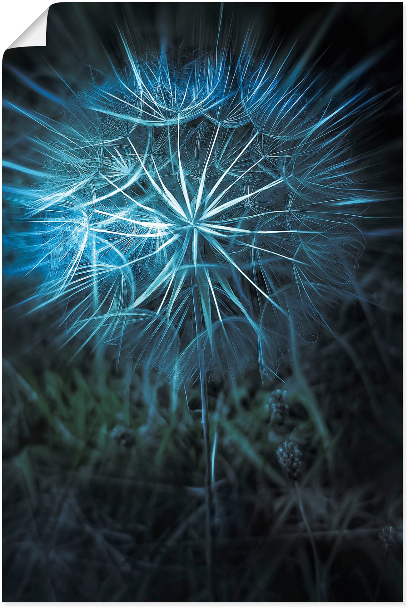 Artland Wandbild »Pusteblume Nahaufnahme Blau«, Blumenbilder, (1 St ...