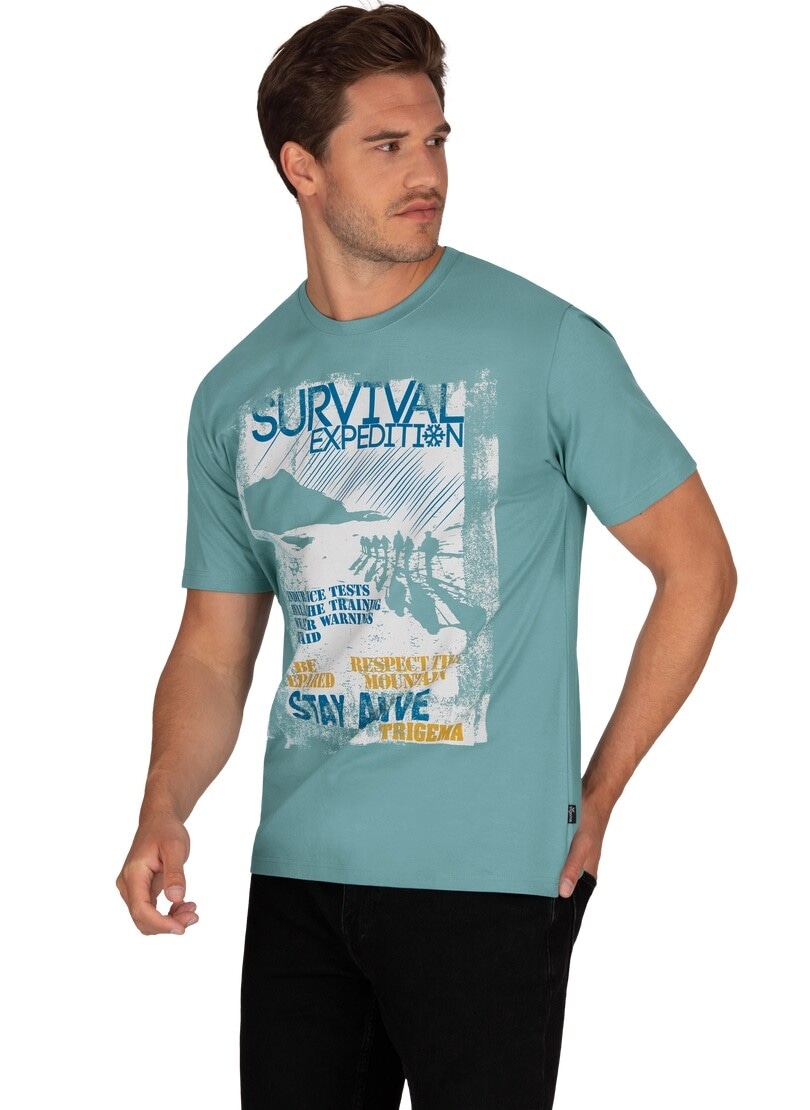 Trigema T-Shirt »TRIGEMA T-Shirt mit großem Print-Motiv« bestellen | BAUR