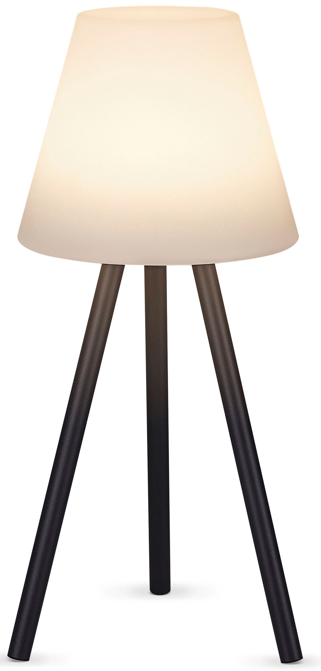 Paco Home Tischleuchte »ROBIN« | BAUR