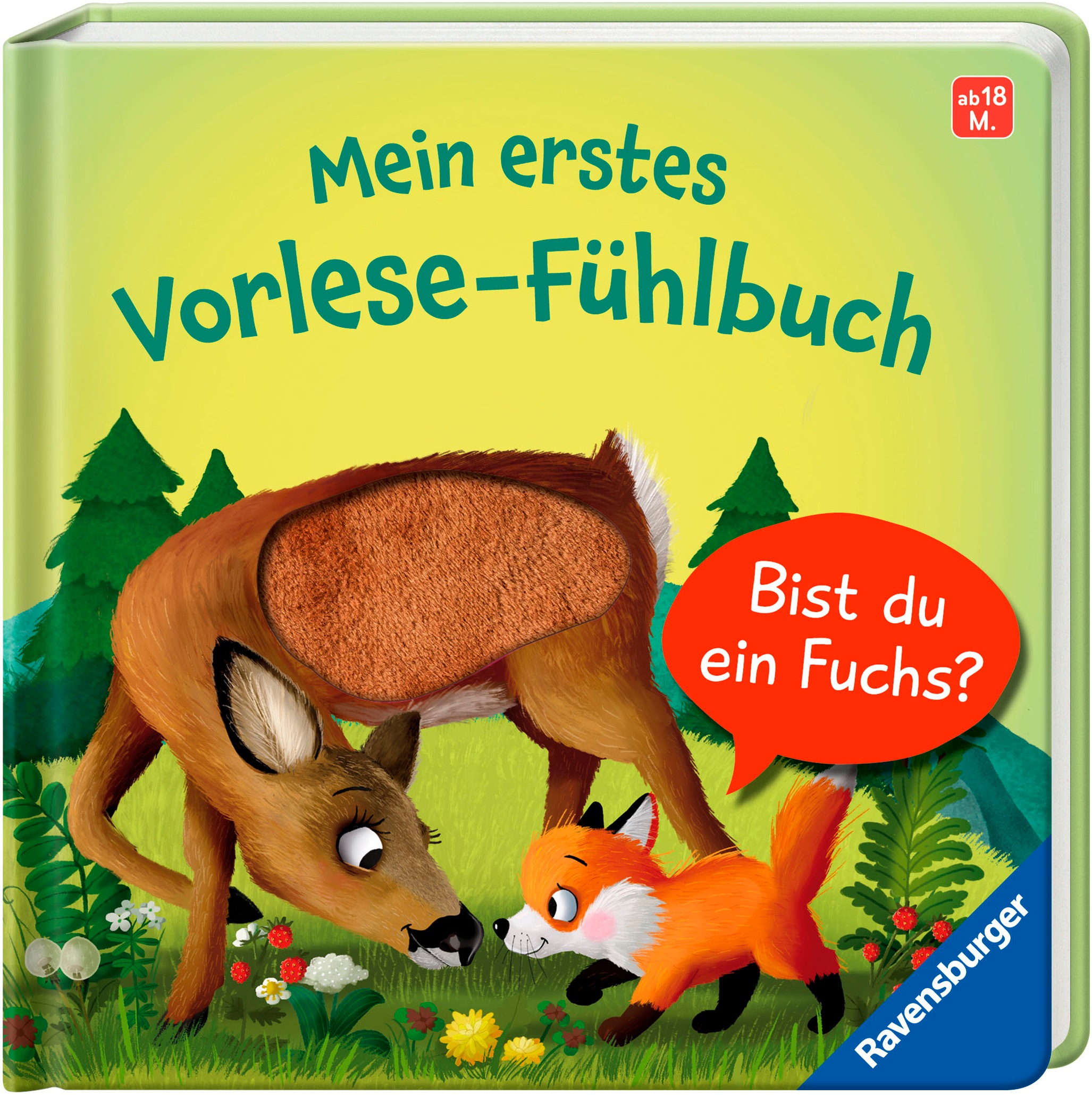 Ravensburger Buch »Pappbilderbuch, Mein erstes Vorlese-Fühlbuch: Bist ...
