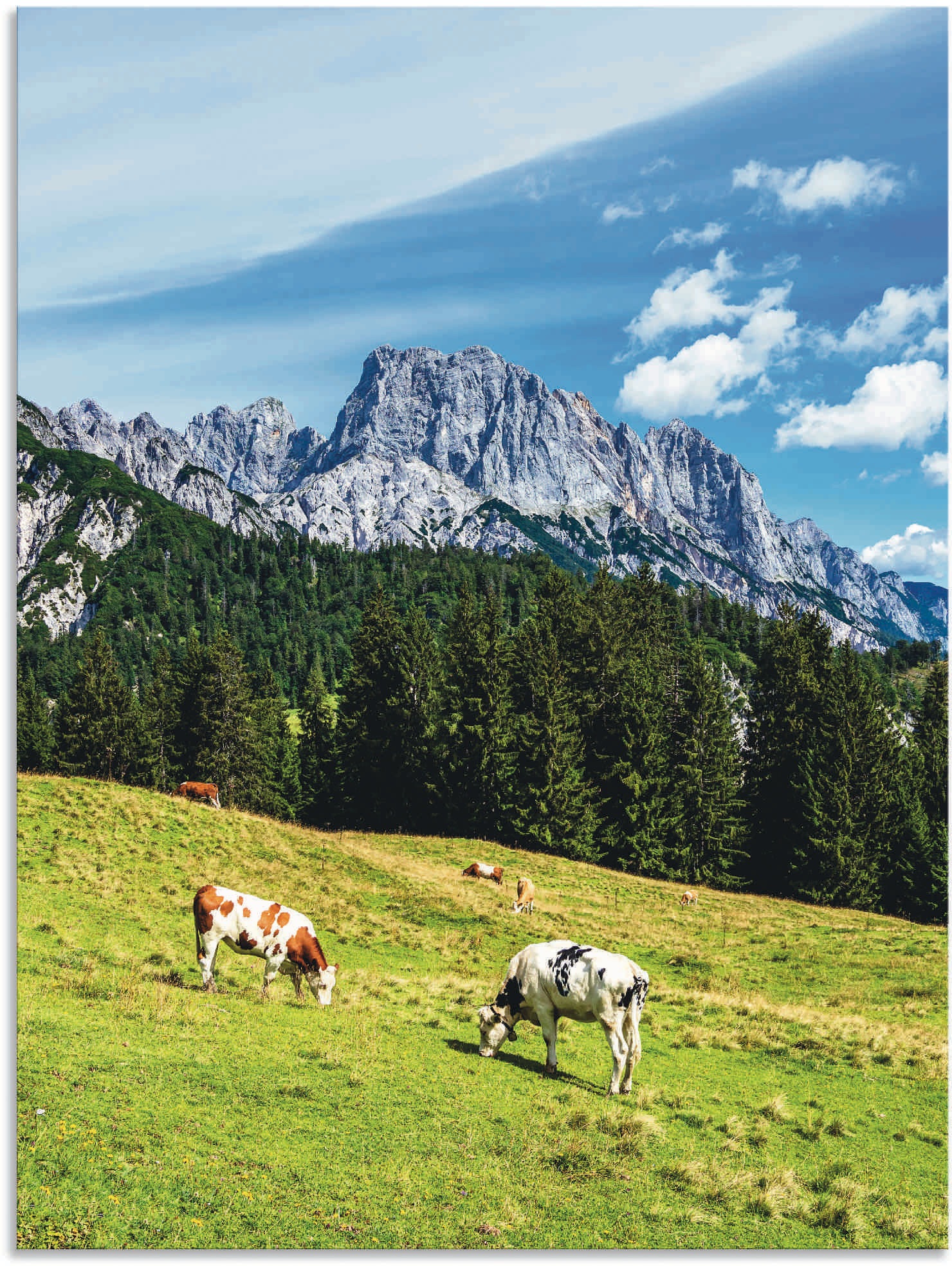 Artland Poster »Blick auf die Litzlalm mit Kühen«, Berge & Alpenbilder ...