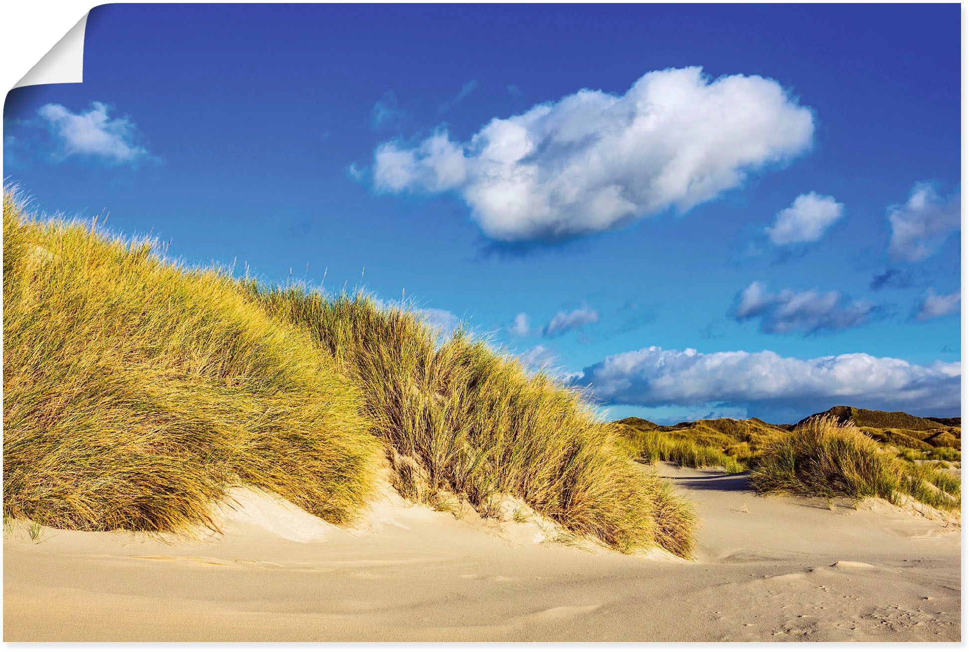 Artland Wandbild »Landschaft mit Dünen Insel Amrum«, Strandbilder, (1 ...
